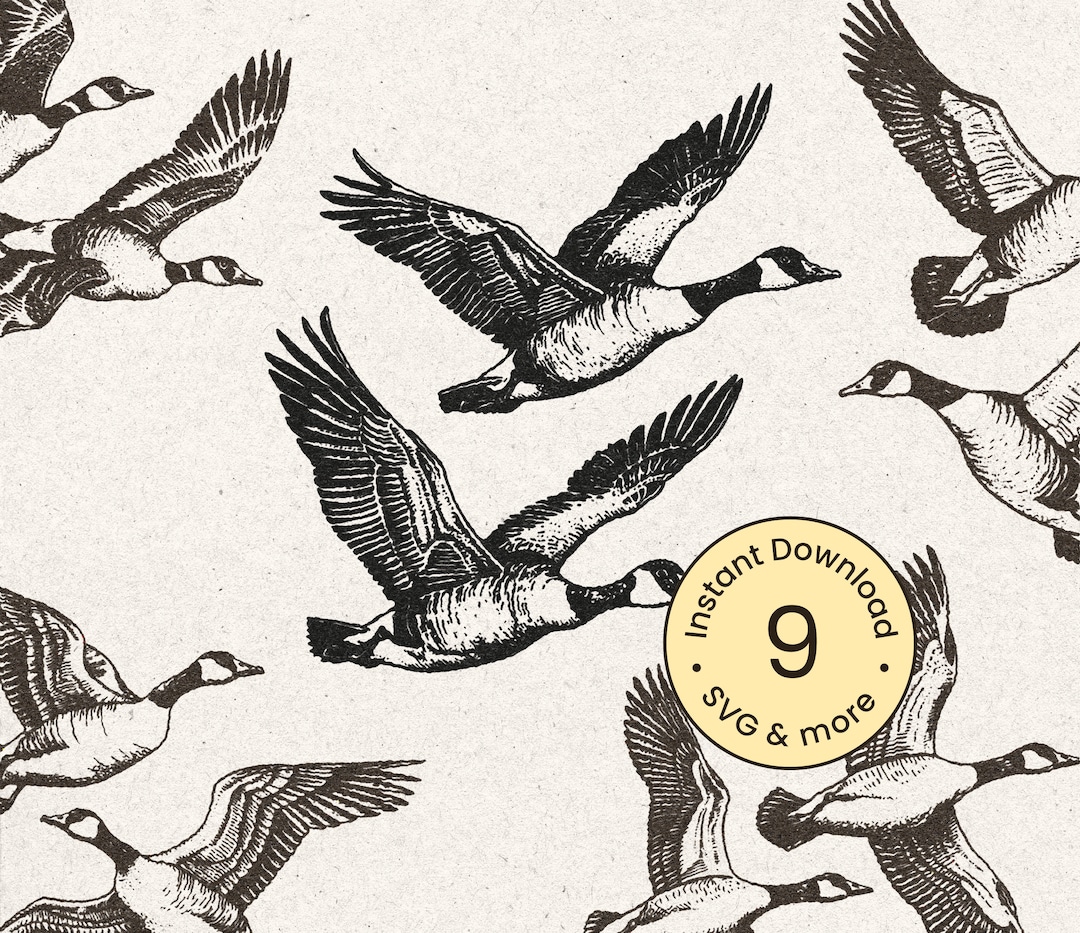 Geese Birds Svg Bundle, Vintage Vector Illustration, Retro Bird Design ...