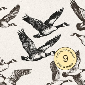 Geese Birds Svg Bundle, Vintage Vector Illustration, Retro Bird Design ...