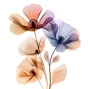 Transparent Background Abstract Flowers PNG Clipart Bundle Digital ...