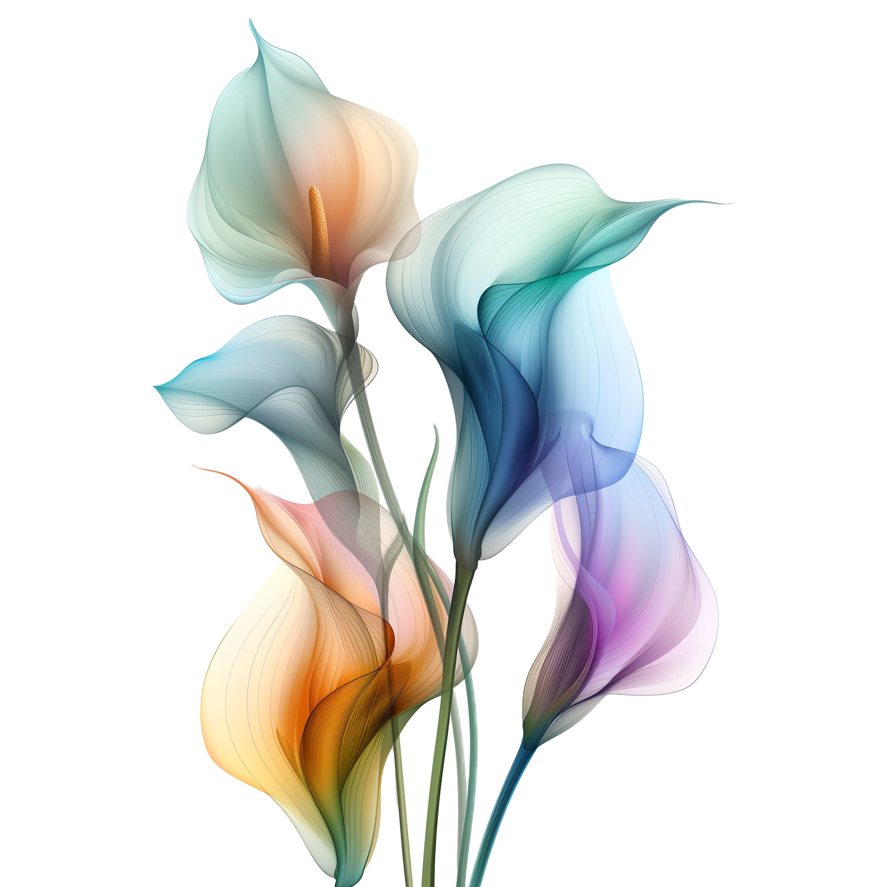 Transparent Background Abstract Calla Lily PNG Clipart Bundle Digital ...