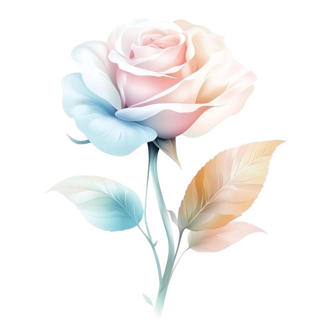 Transparent Background 12 Rose Color Variety Clipart Bundle, Digital ...