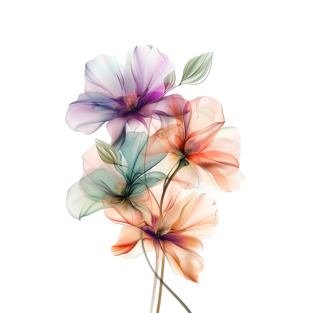 Transparent Background Abstract Flower PNG Clipart Bundle Digital ...