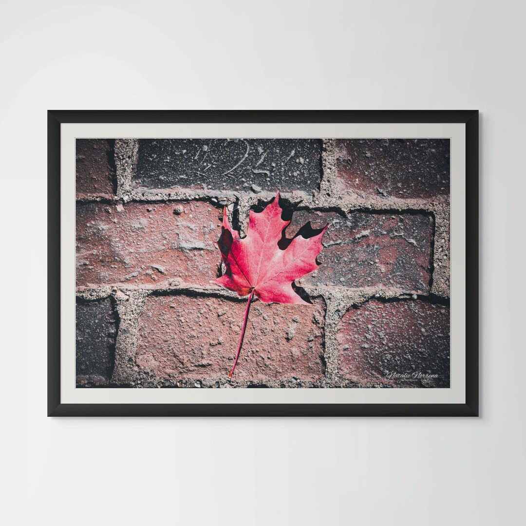Boston Common Autumn Maple Leaf Giclée Print: Urban Wall Art - Etsy