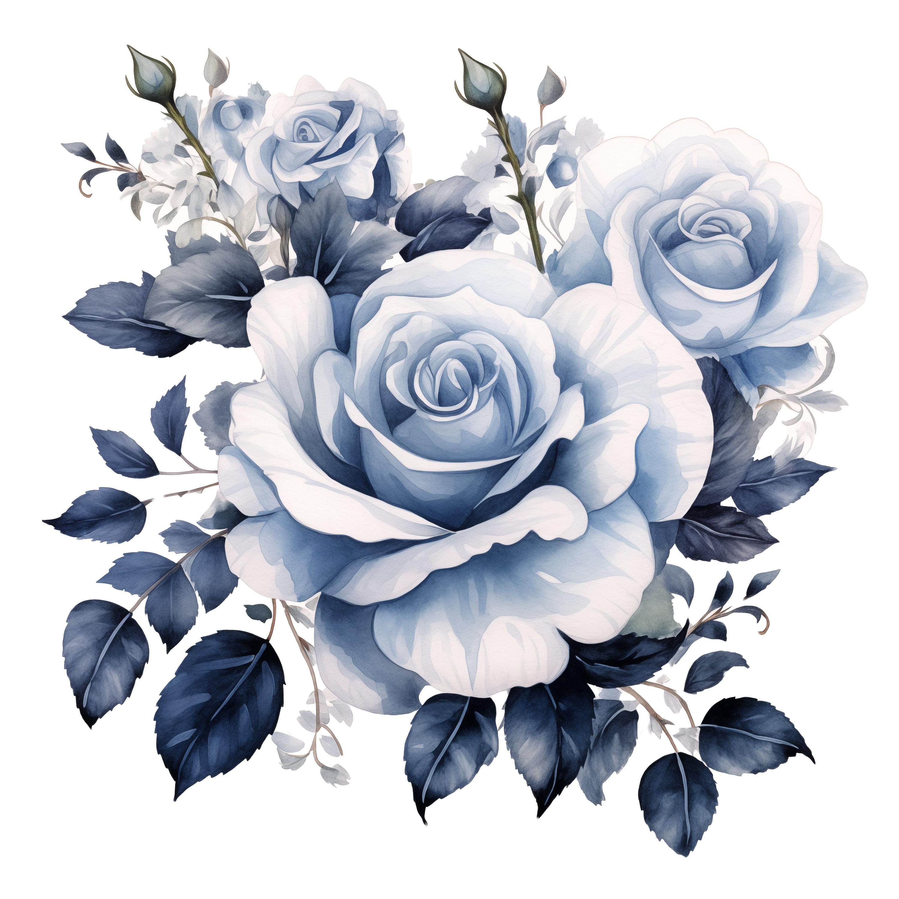 Transparent Background 12 Rose Color Variety Clipart Bundle, Digital ...