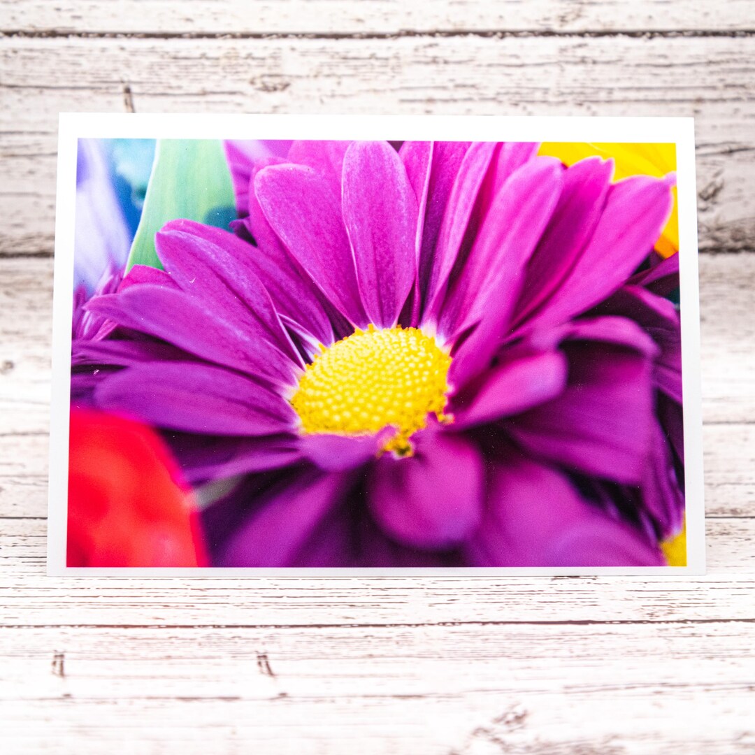 Spring Flower Note Card Collection With Envelopes, Greeting Card Bundle ...