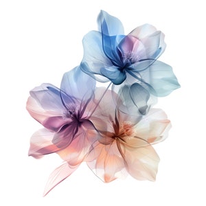 Transparent Background Abstract Flowers PNG Clipart Bundle Digital ...