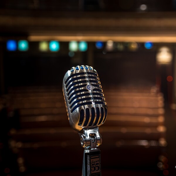 Microphone Art - Etsy