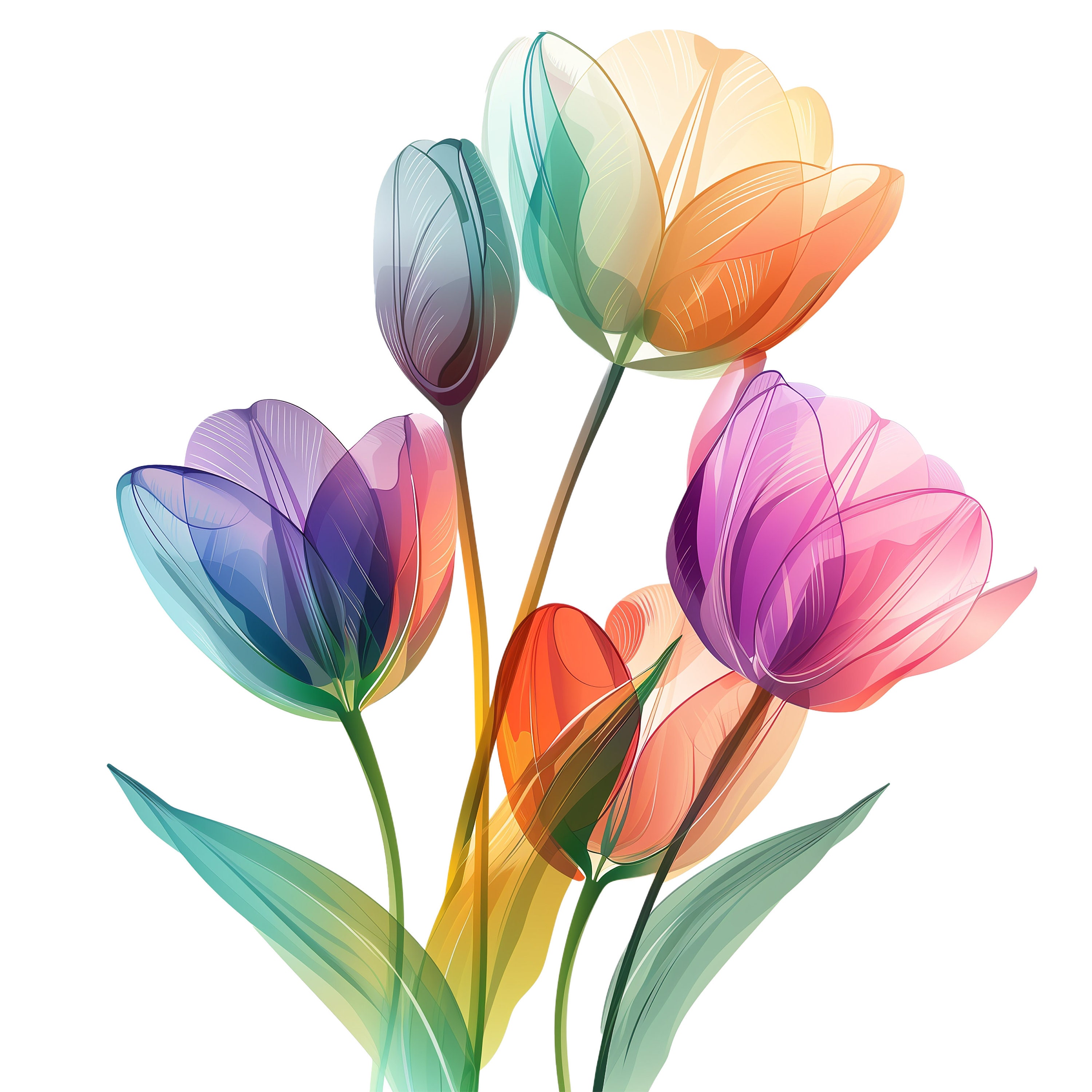 Transparent Background Abstract Flower PNG Clipart Bundle Digital ...