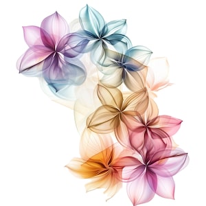 Transparent Background Abstract Flowers PNG Clipart Bundle Digital ...