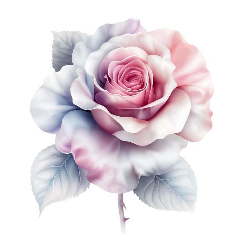 Transparent Background 12 Rose Color Variety Clipart Bundle, Digital ...