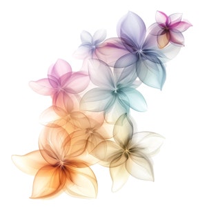 Transparent Background Abstract Flowers PNG Clipart Bundle Digital ...