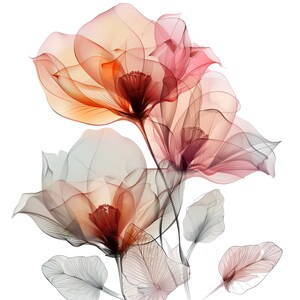 Transparent Background Abstract Flowers PNG Clipart Bundle Digital ...