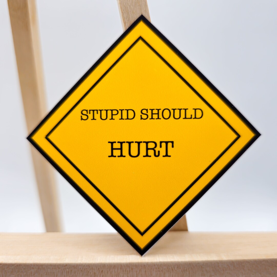 Vinyl Sticker Stupid Should Hurt Water Bottle Sticker Warning Sticker ...