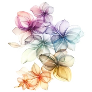 Transparent Background Abstract Flowers PNG Clipart Bundle Digital ...