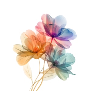 Transparent Background Abstract Flowers PNG Clipart Bundle Digital ...