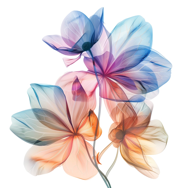 Transparent Background Abstract Flower PNG Clipart Bundle Digital ...