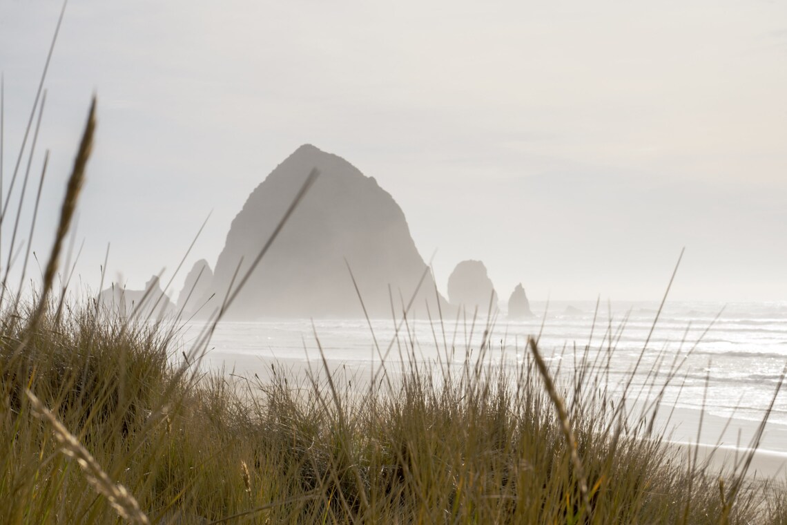 Fine Art Photography Photograph Haystack Rock Oregon Beach Large Format ...
