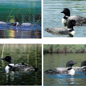 Set of 12 Loon Birds Fabric Quilt Blocks - Etsy
