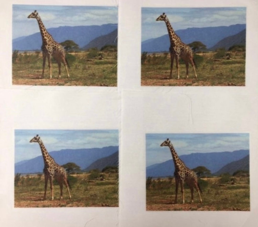 Set of 4 Giraffe Fabric Quilt Blocks - Etsy