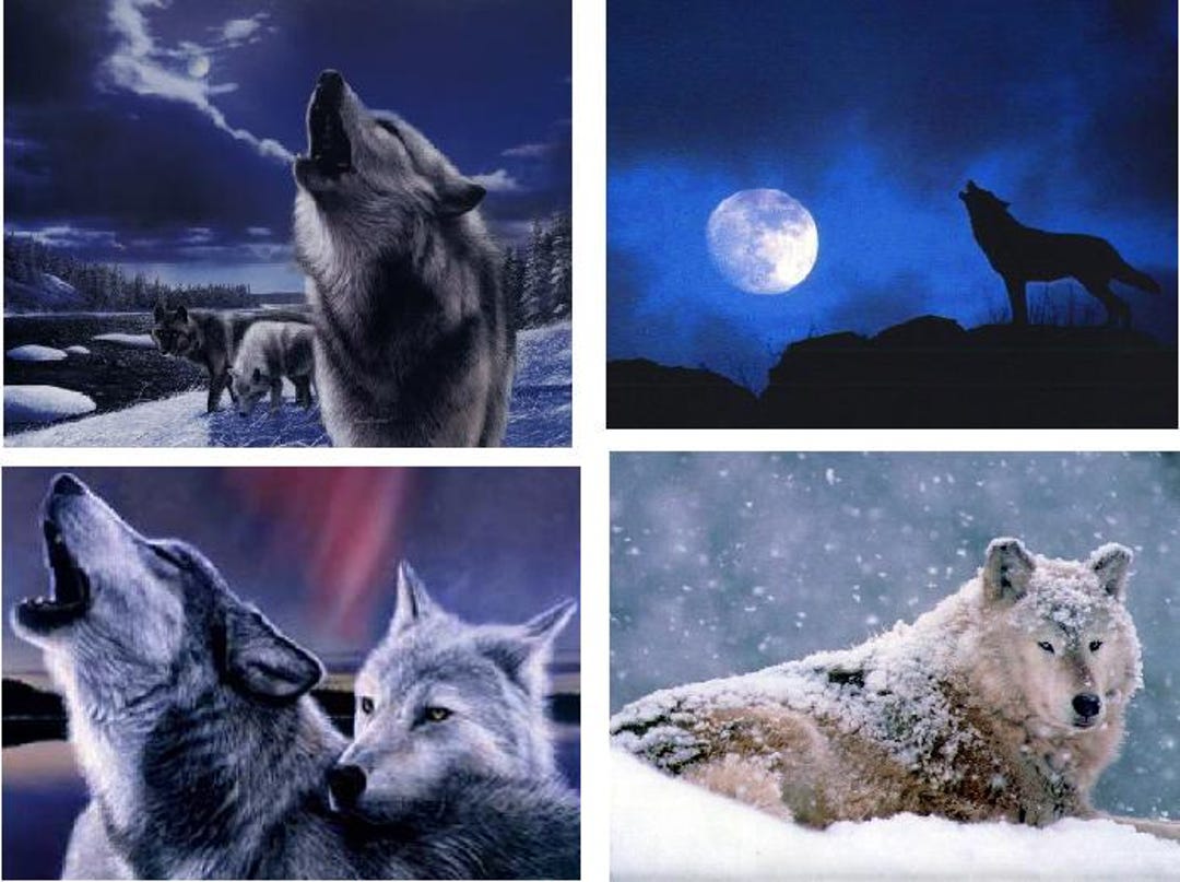 Set of 4 Wolves Wolf Fabric Quilt Blocks - Etsy