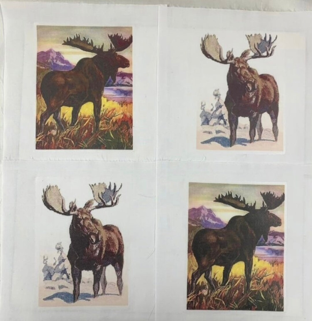 Set of 4 Moose Fabric Quilt Blocks - Etsy