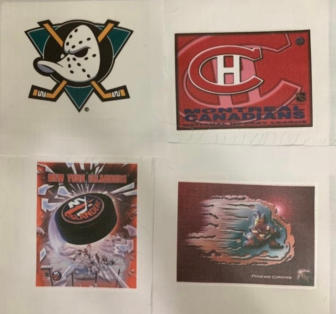 Set of 24 NHL Hockey Fabric Quilt Blocks - Etsy