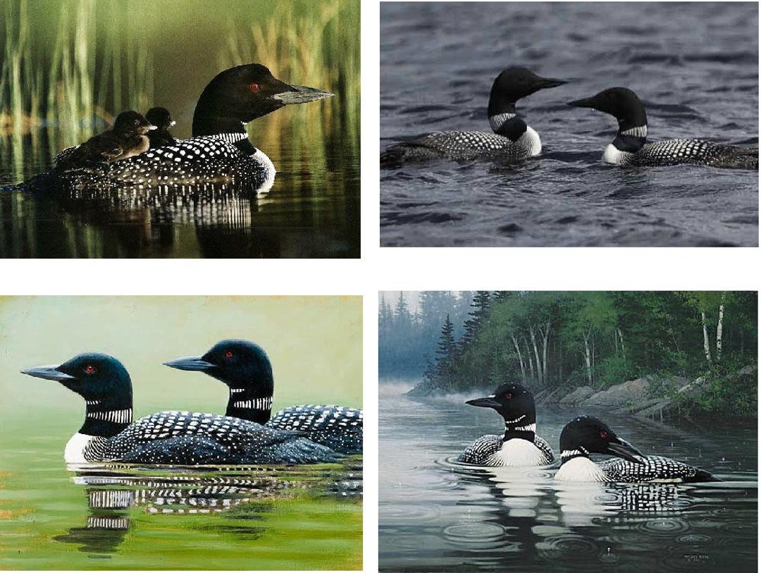 Set of 12 Loon Birds Fabric Quilt Blocks - Etsy