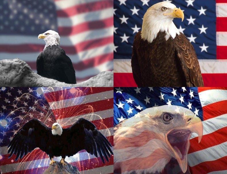 Set of 12 Patriotic Eagles USA Fabric Quilt Blocks - Etsy