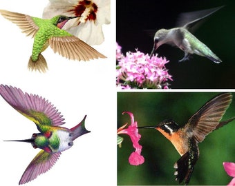 Set of 4 Snoopy Fabric Quilt Blocks - Etsy