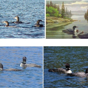 Set of 12 Loon Birds Fabric Quilt Blocks - Etsy