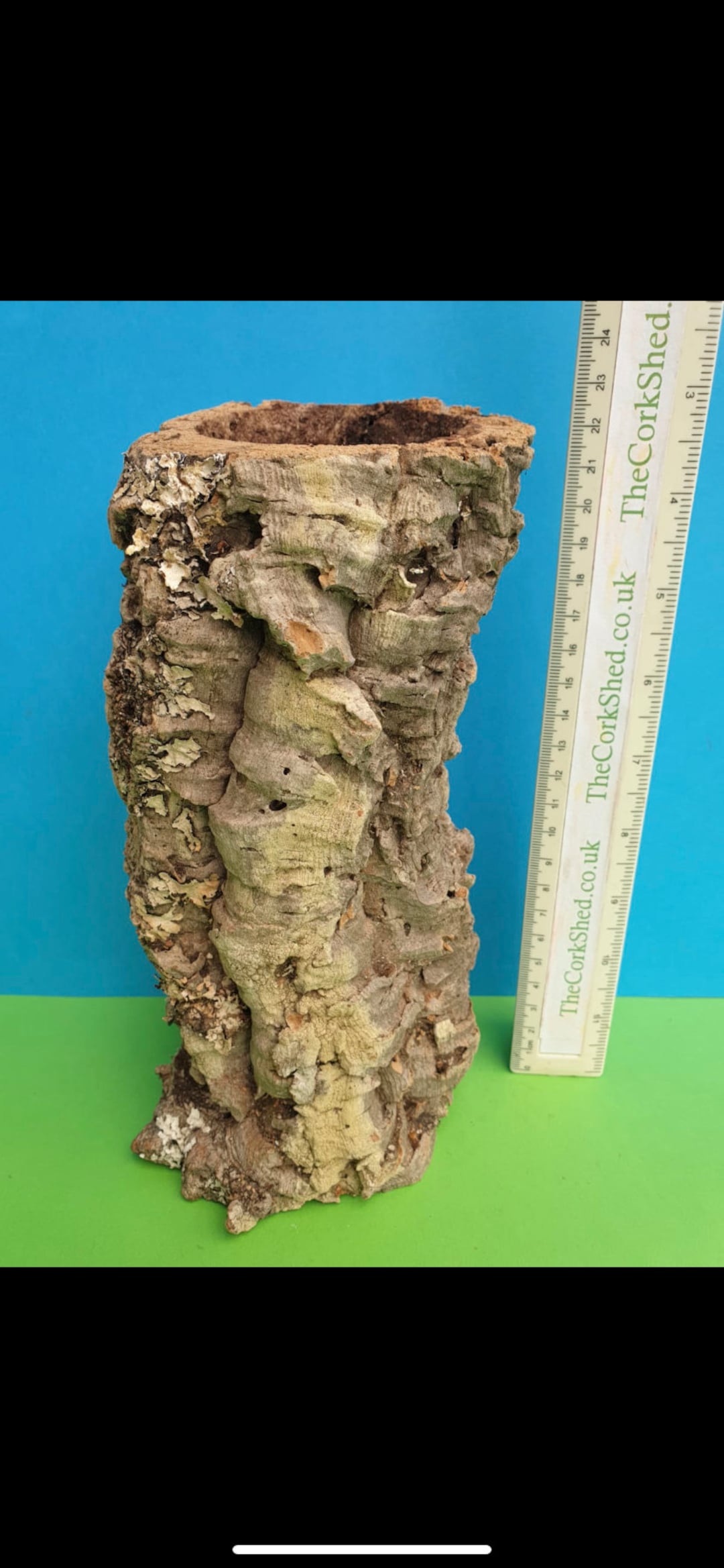 Cork Bark Tube 23cm Ideal for Vivariums Reptiles Snakes Spiders - Etsy