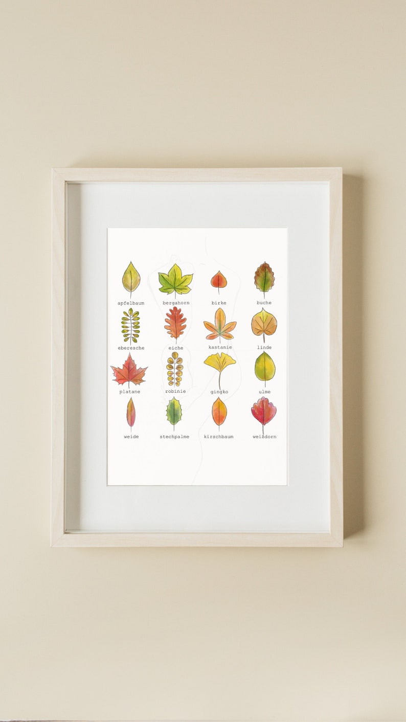 Autumnal Tree Identification Poster Montessori Learning - Etsy