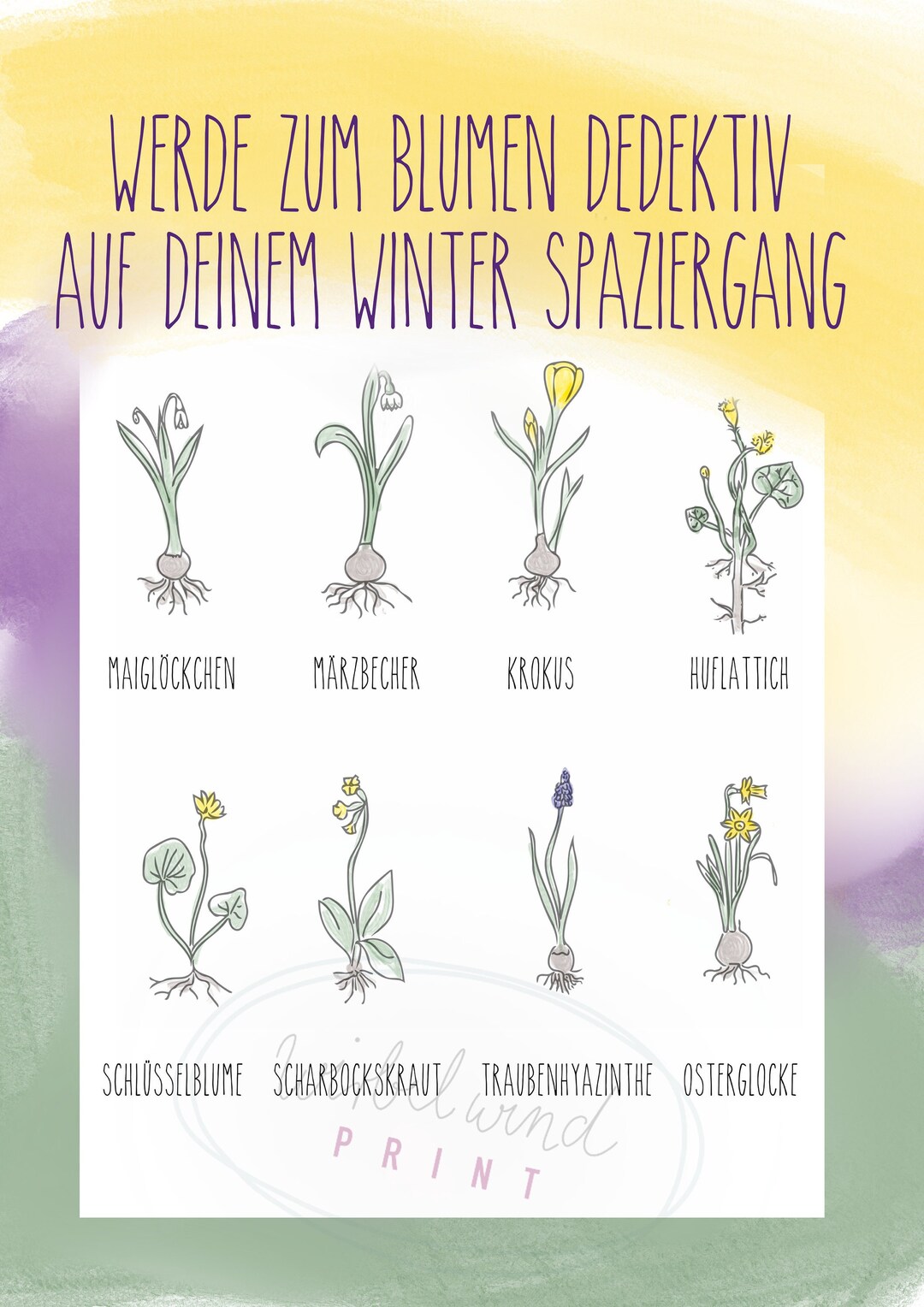 Early Bloomers|spring Flowers Montessori Poster| Educational Poster ...