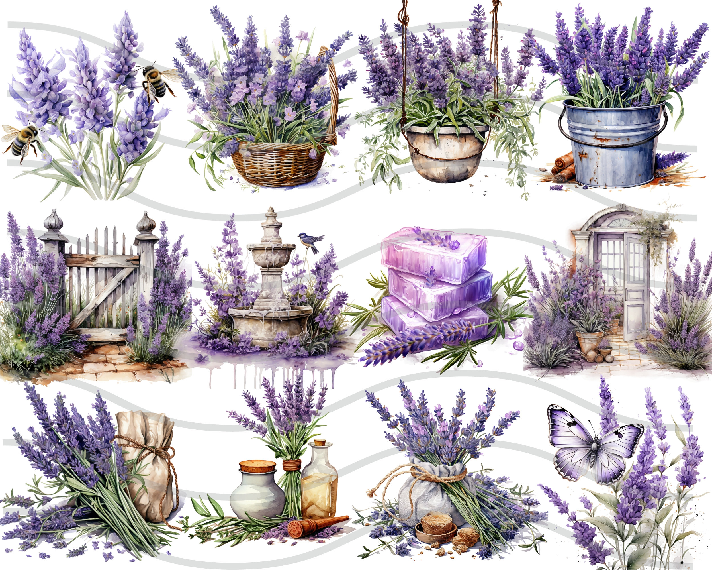 Watercolor Lavender Garden Clipart Provence Floral Spring PNG Format ...