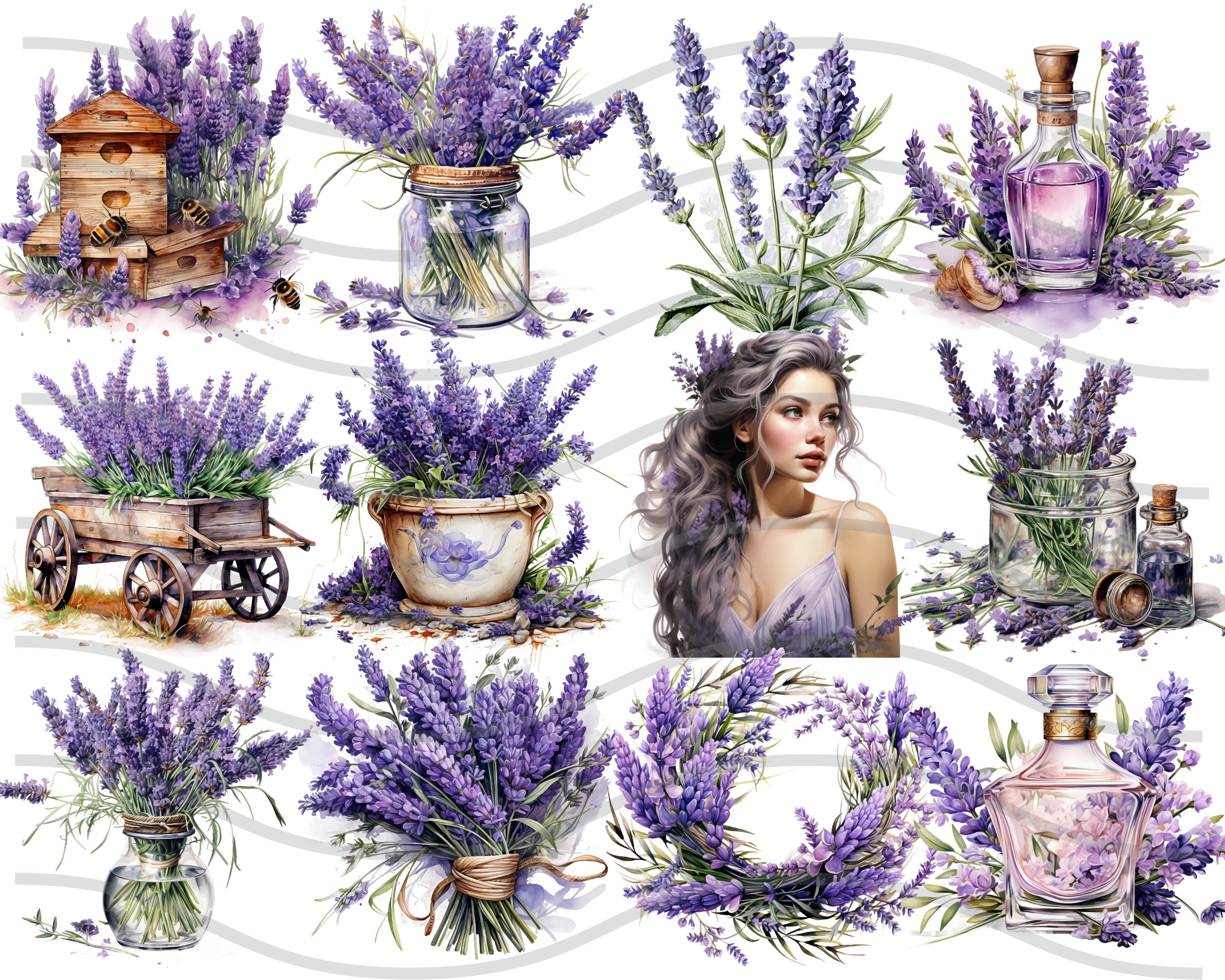 Watercolor Lavender Garden Clipart: Provence Floral PNG (digital ...