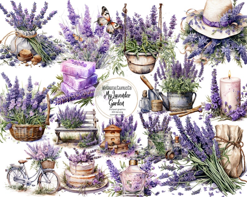 Watercolor Lavender Garden Clipart: Provence Floral PNG (digital ...