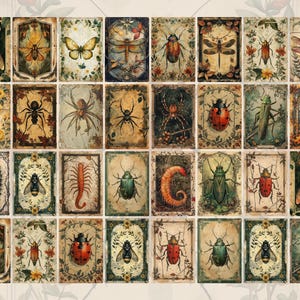 Insects Junk Journal Pages, Digital Scrapbook Paper Kit, Botanical ...