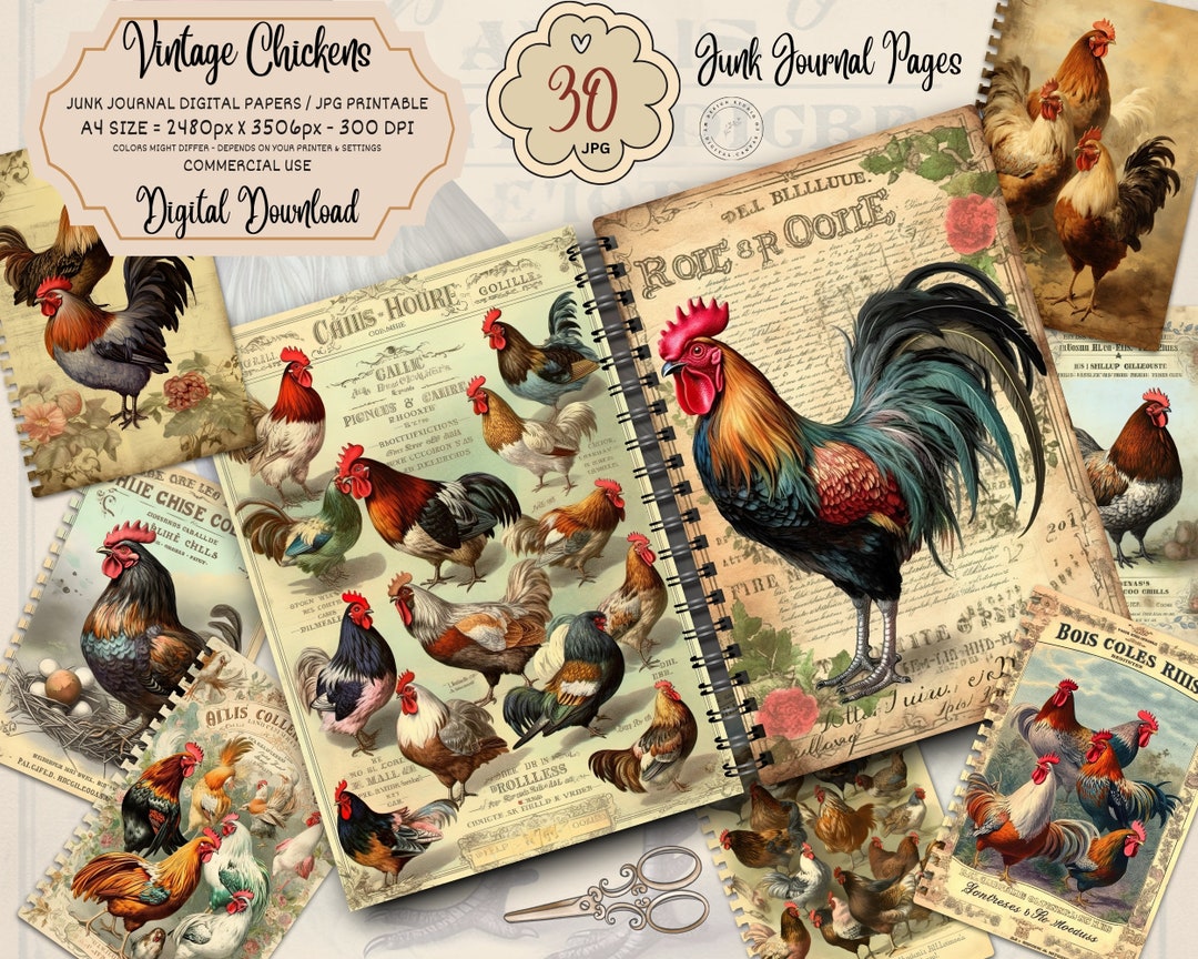Vintage Farm Ephemera | CHICKEN and ROOSTER| Digital Collage Sheet ...