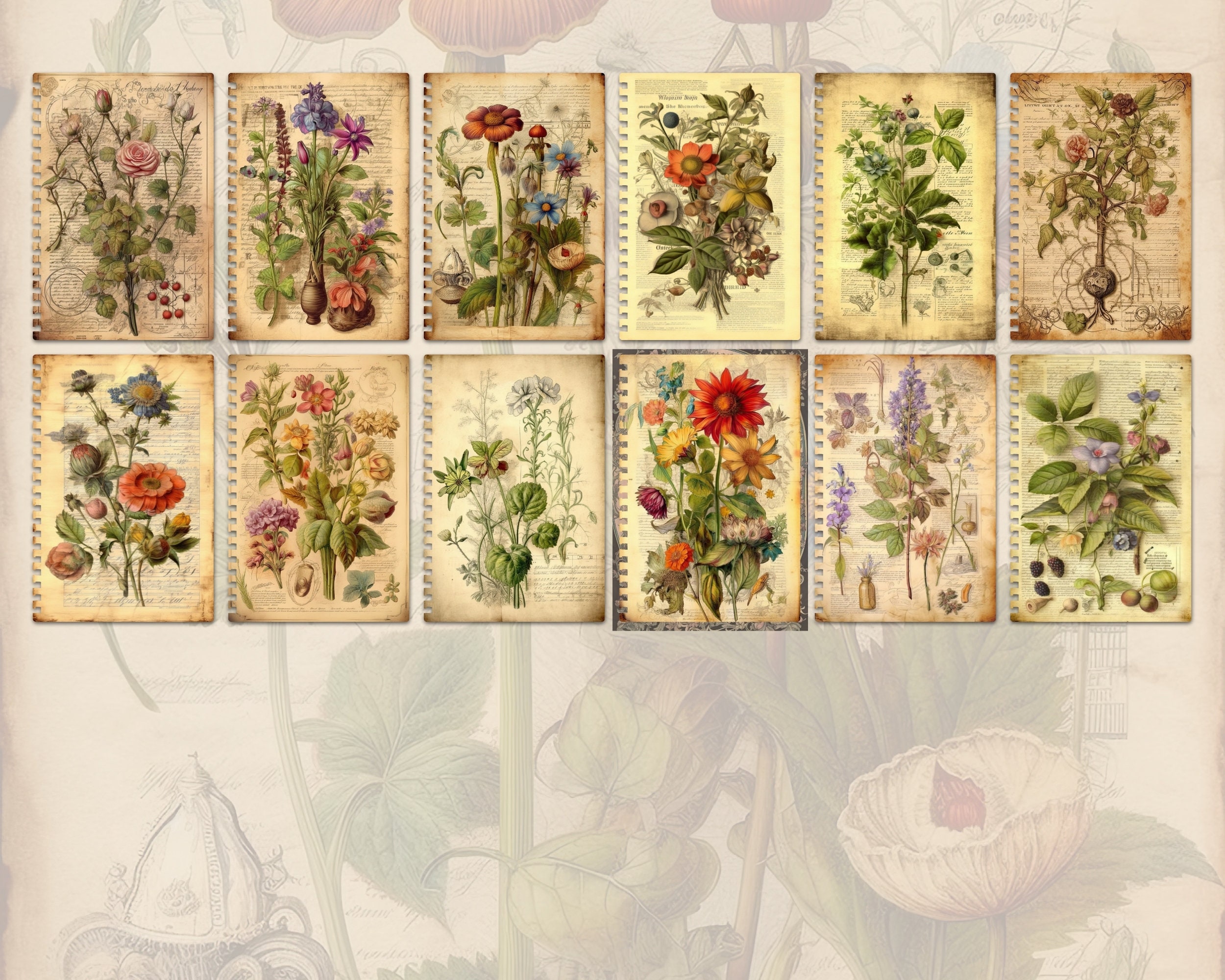 Botanical Herbs Junk Journal Pages, Digital Scrapbook Paper Kit, Herbal ...