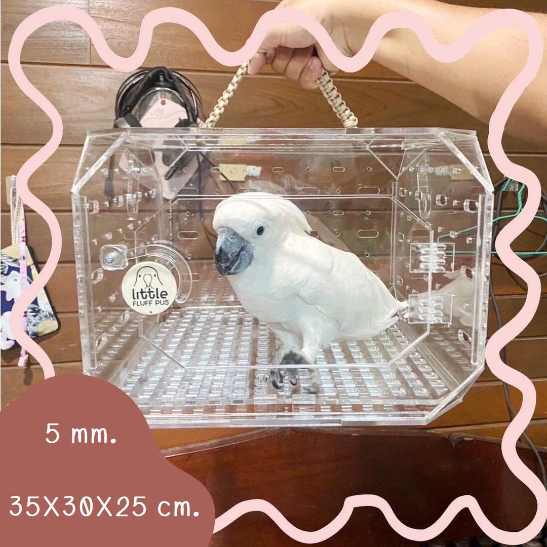 Clear Acrylic Parrot Carrier,hamster Carrier ,rabbit Carrier,exotic ...