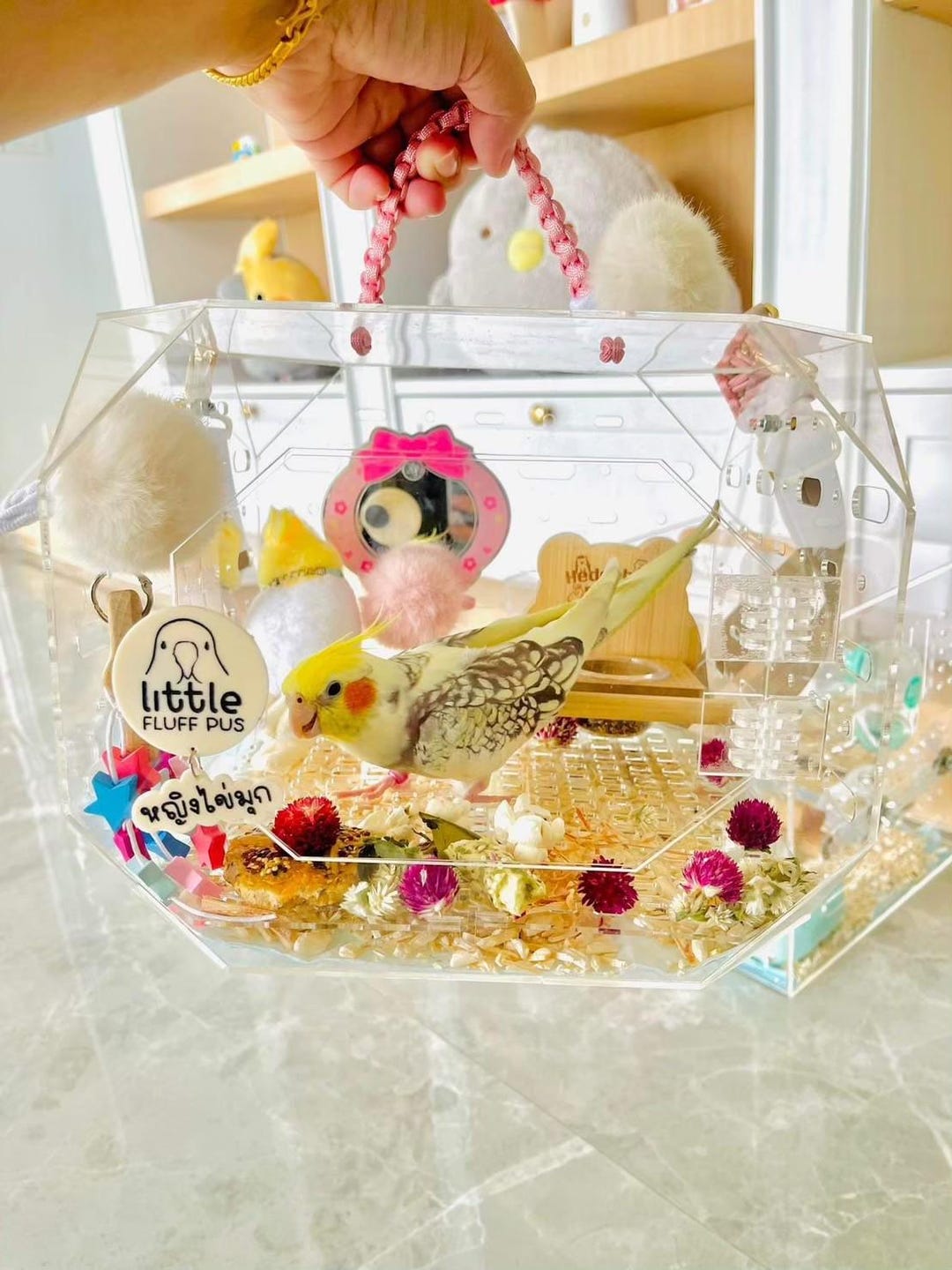 Clear Acrylic Parrot Carrier,hamster Carrier ,rabbit Carrier,exotic ...