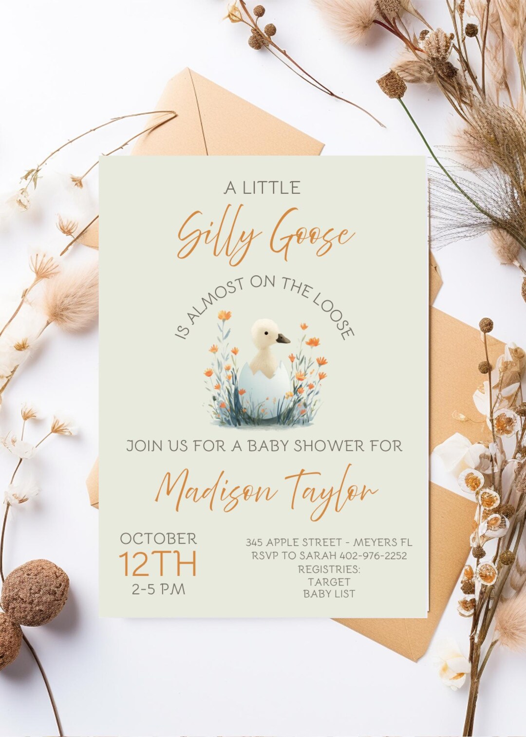 Silly Goose on the Loose Invitation Baby Shower, New Silly Goose Baby ...