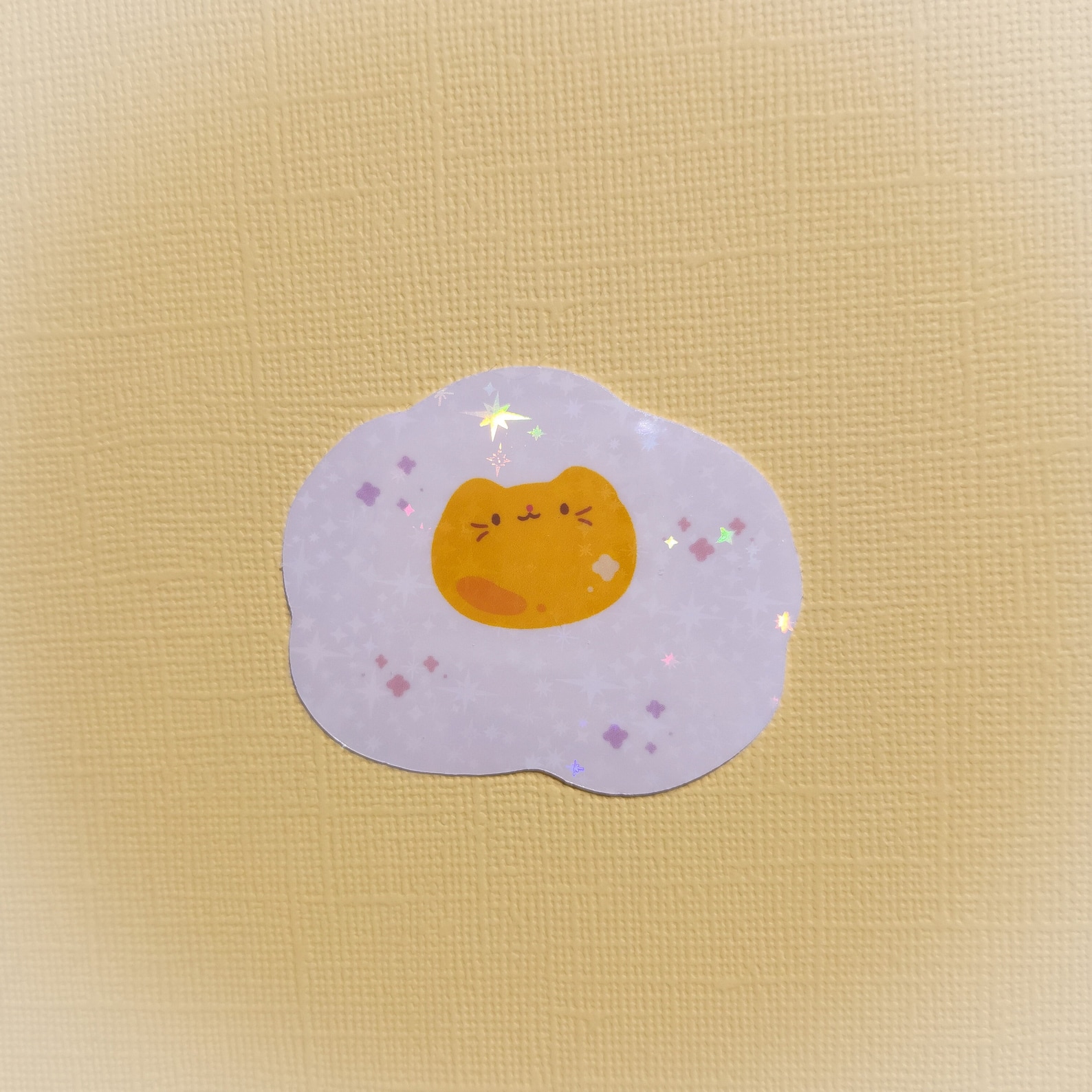 Cat Egg Sunny Side up Sticker | Cute Holographic, Handmade Water ...