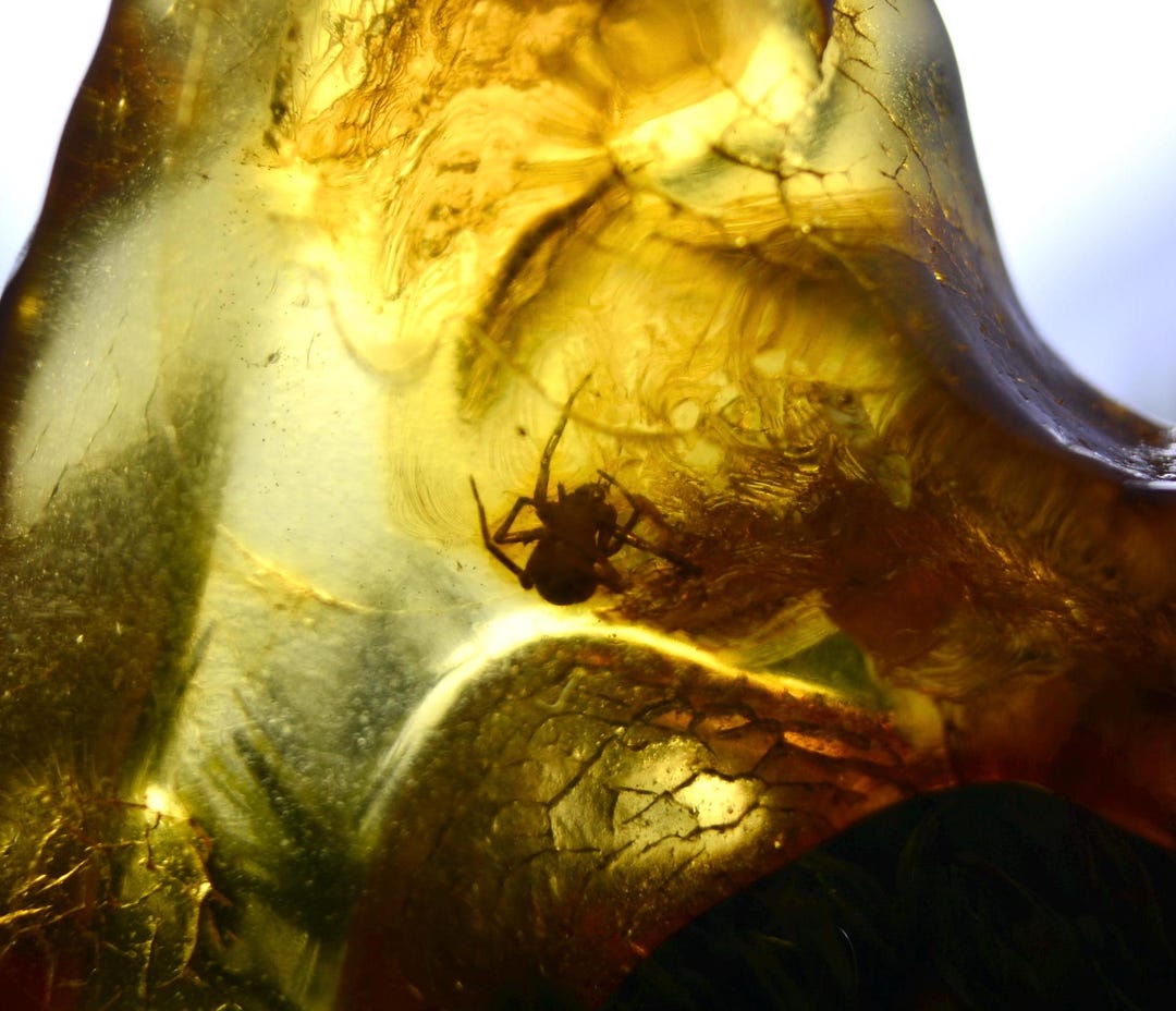 Little Prehistoric SPIDER in Amber, INCLUSION Fossil Insect in Natural ...