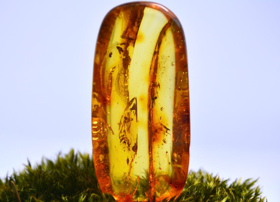 Large AMBER Stone With INCLUSIONS of Insects and Air Bubbles in the ...