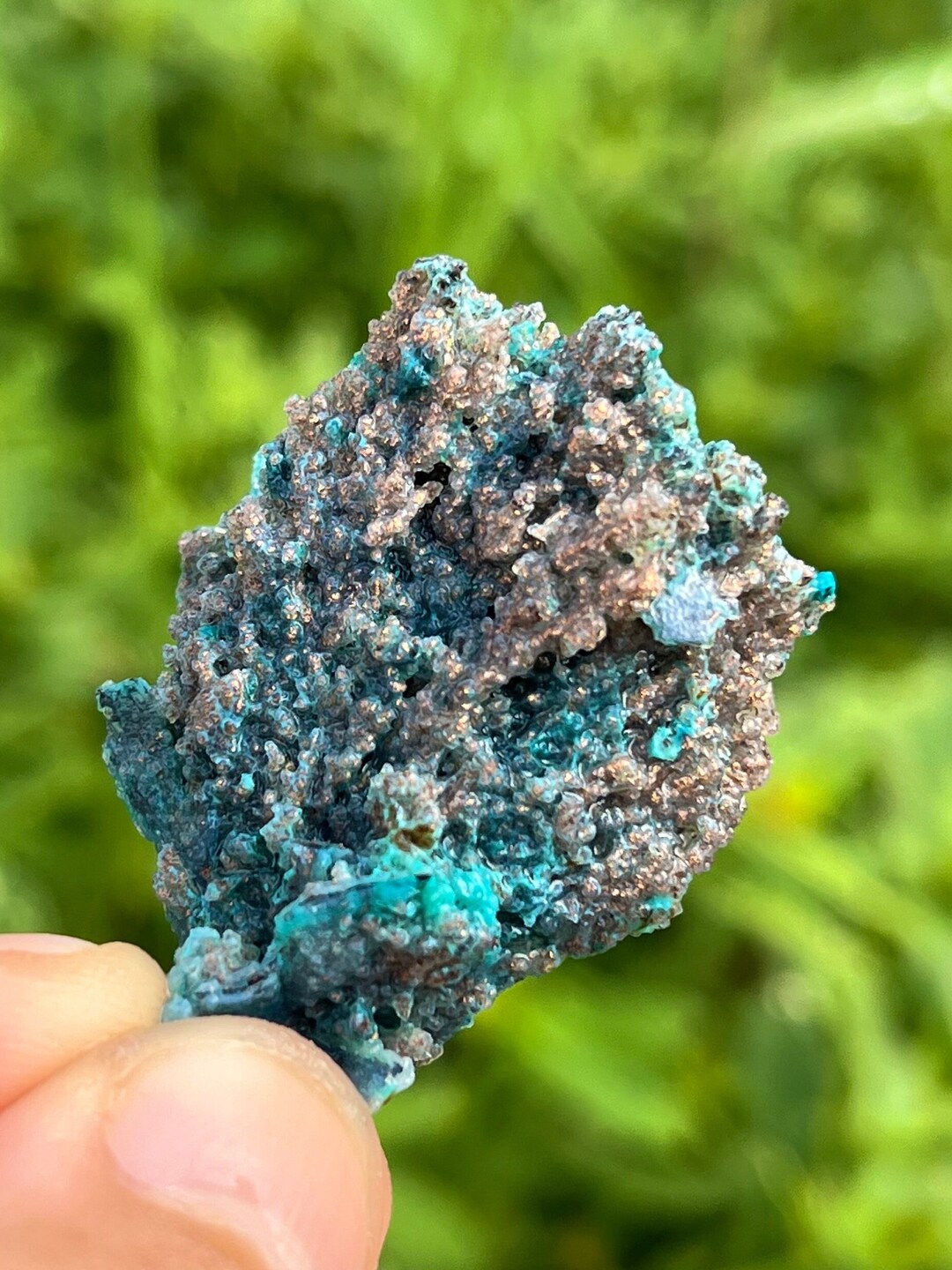 Sparkling Botryoidal Copper Chrysocolla Chalcedony Top Grade Specimen ...