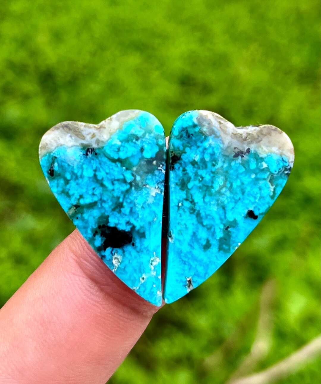 Translucent Gem Silica Palamea Heartshape Pair TOP Grade Super RARE ...