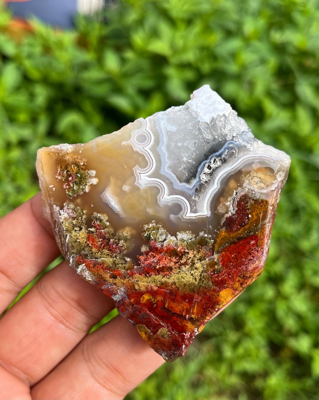 Ultra Rare Scenic Moss Chalcedony and Dendrite Flower in Natural Free ...