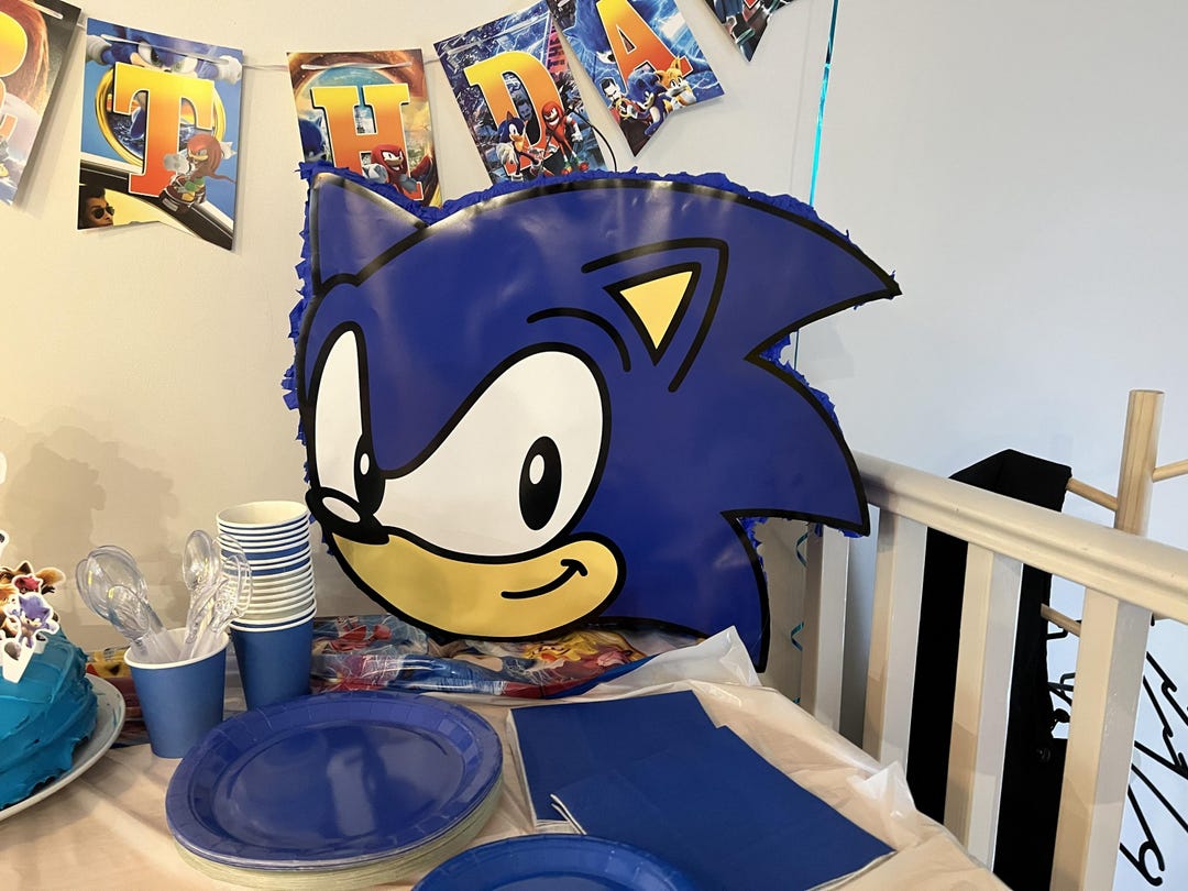 Sonic the Hedgehog Piñata | Sonic Birthday Party Decor | Fun Party ...