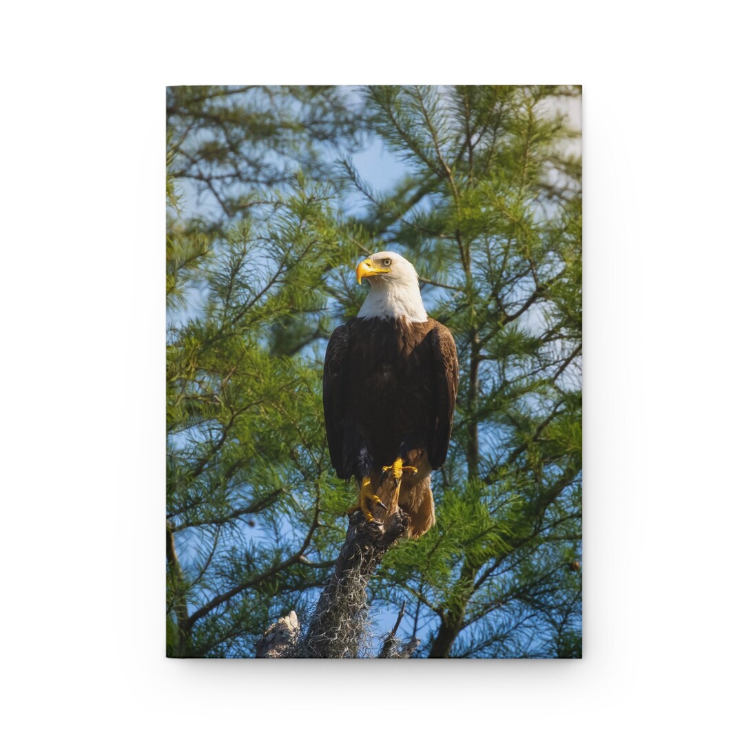 Hardcover Journal Matte, Eagle Journal, Bald Eagle Journal, Eagle Gifts ...